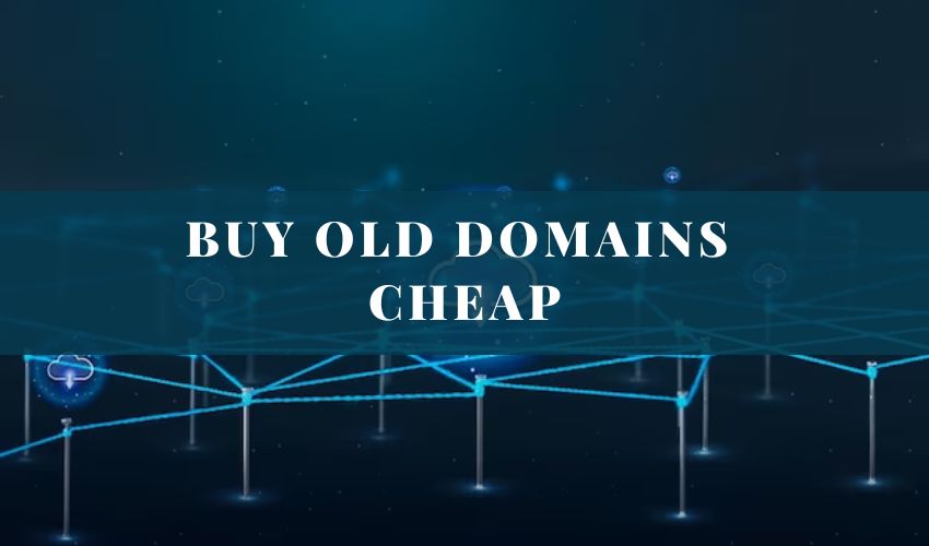 Buy old Domains Cheap: Unlocking the Potential